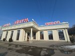Ainura (Shostakovıch kóshesi No:4В), mobilya mağazaları  Taraz'dan