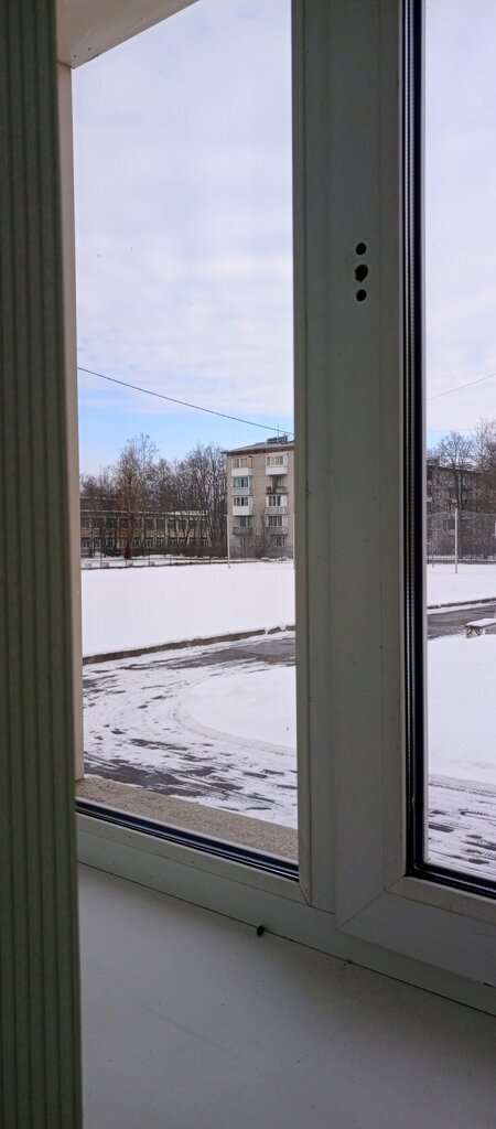 Spor alanı Футбольное поле, Peterhof, foto