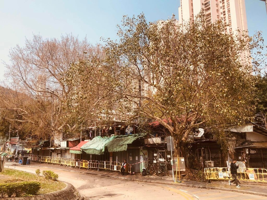 Toplu taşıma durağı Hsin Kuang Centre / Shatin Pass Road, Kowloon, foto