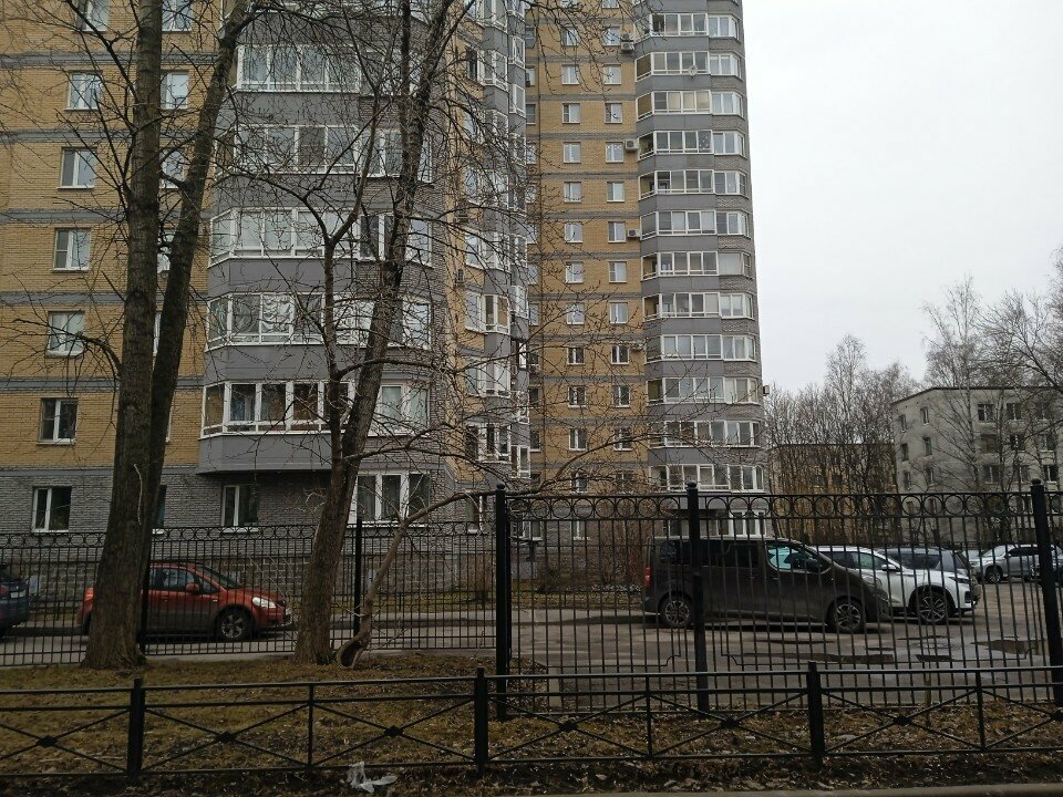 Bina, site yönetimi TSZh Stachek, 212, Saint‑Petersburg, foto