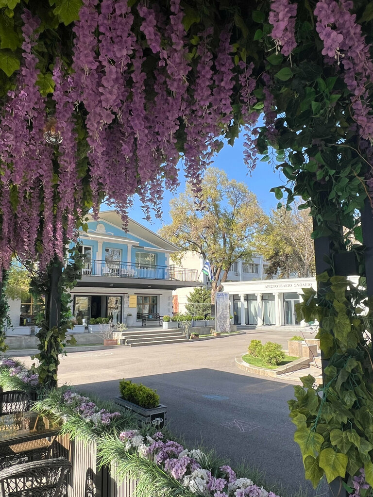 Çocuk gelişim merkezleri Klever, Taşkent, foto