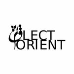 LectOrient (Profsoyuznaya Street No:66с1), bilişim firmaları  Moskova'dan