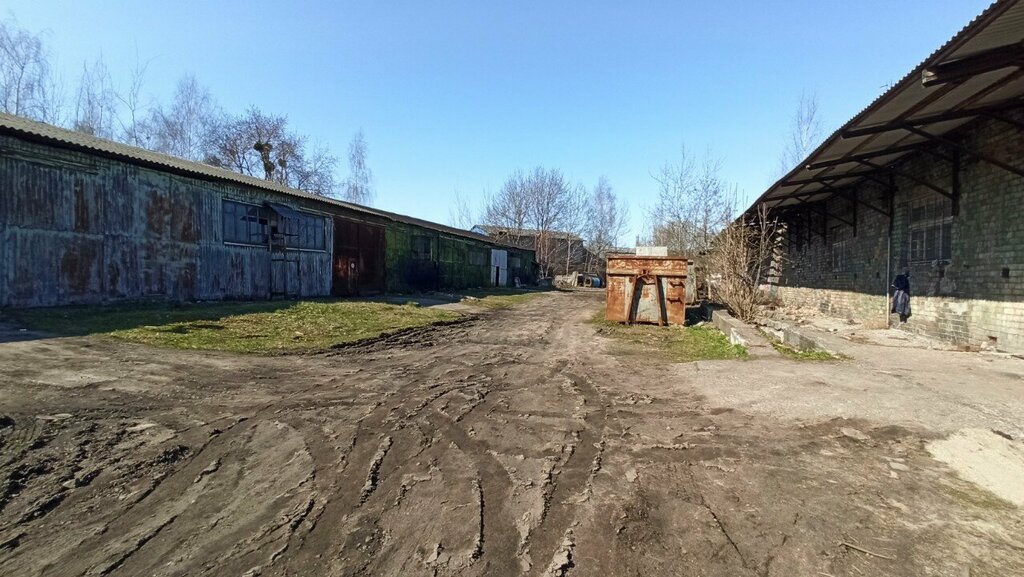 Kafe Пироги а-ля русс, Kaliningrad, foto