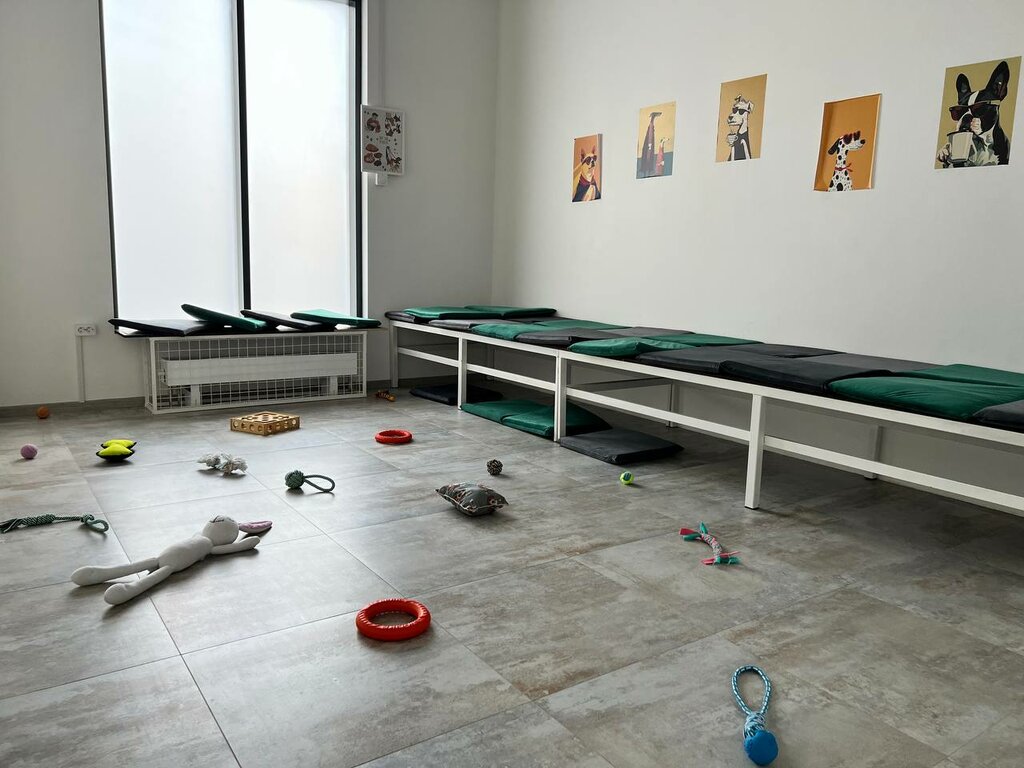 Pet otel Pepsel, Saint‑Petersburg, foto