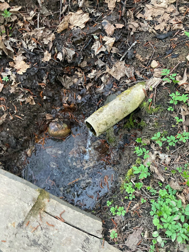 Pınar, çay Spring, stream, Saint‑Petersburg, foto