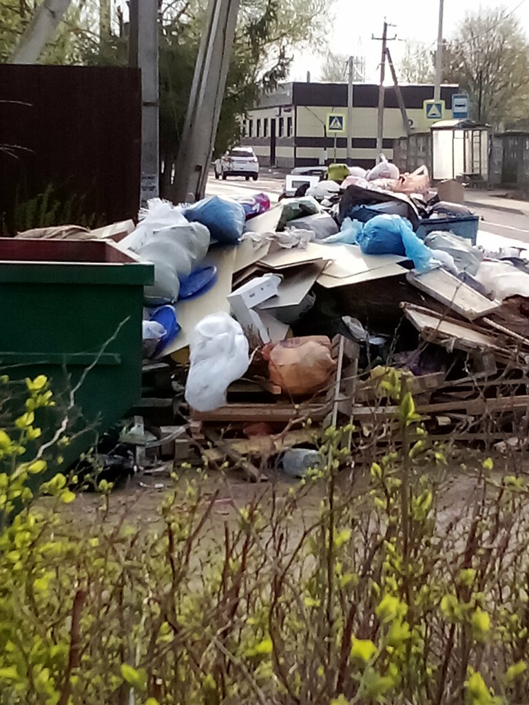 Çöp alanları Trash and garbage disposal area, Moskova ve Moskovskaya oblastı, foto