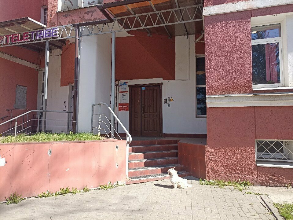 Hukuk büroları Данилюк, Шкунов и партнеры, Yaroslavl, foto