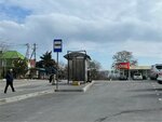 Медицинский центр Новотера (Krasnodar Territory, munitsipalnoye obrazovaniye Novorossiysk, selo Myskhako, Novorossiyskaya ulitsa), toplu taşıma durağı  Krasnodarski krayından
