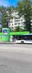 Новороссийская улица (Republic of Bashkortostan, Ufa, ulitsa Levitana), toplu taşıma durağı  Ufa'dan