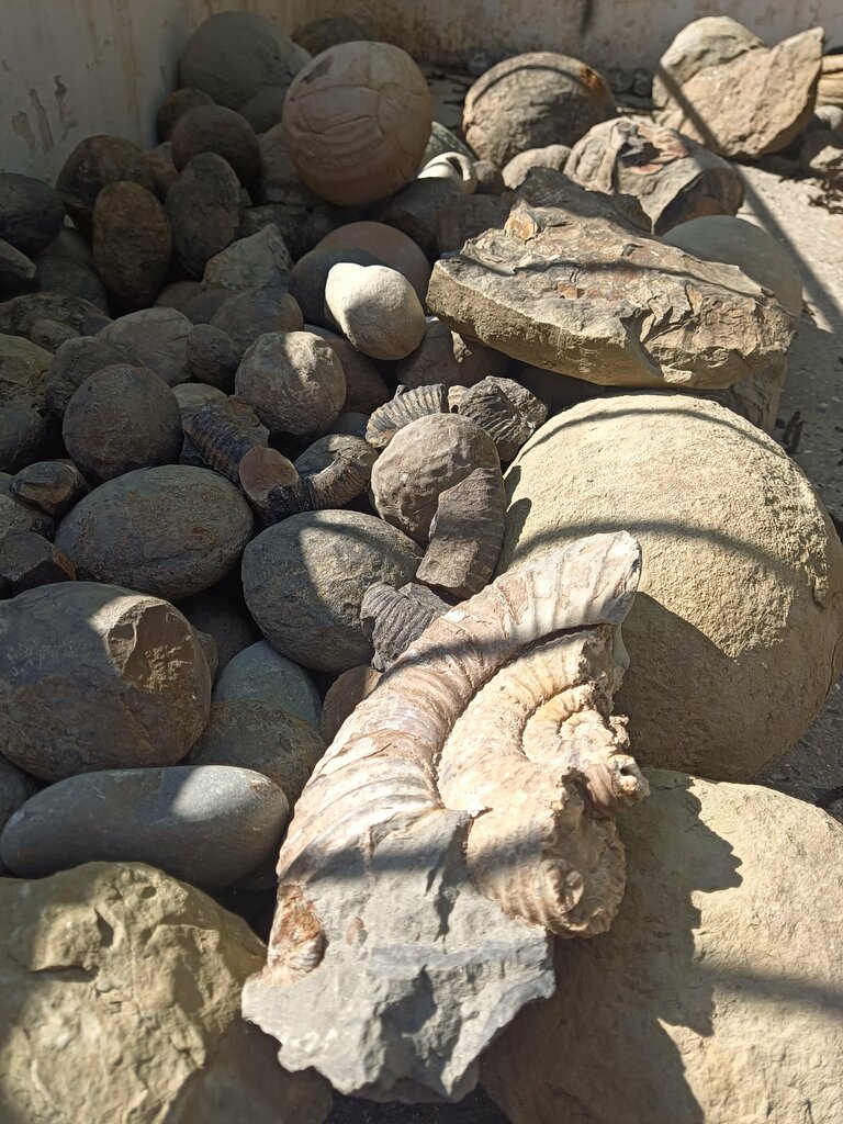 Otel Tethys Museum, Dağıstan, foto