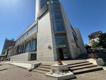 United Shipping Agency (Admirala Serebryakova Embankment No:7), gemicilik acenta hizmetleri  Novorossiysk'ten
