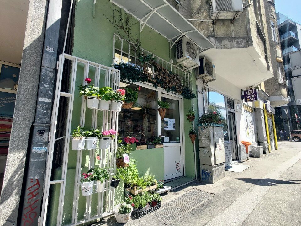 Çiçekçiler Dorćol Flower shop, Belgrad, foto