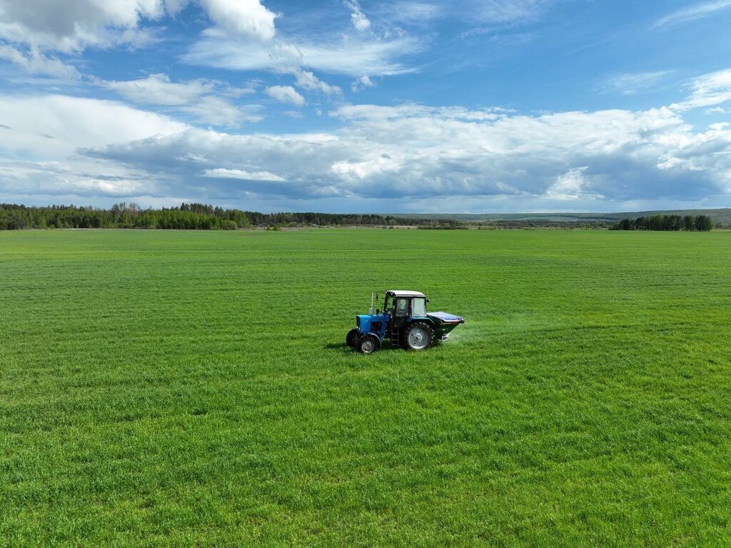 Tarım firmaları Ферма Несовхоз, Mordovya, foto