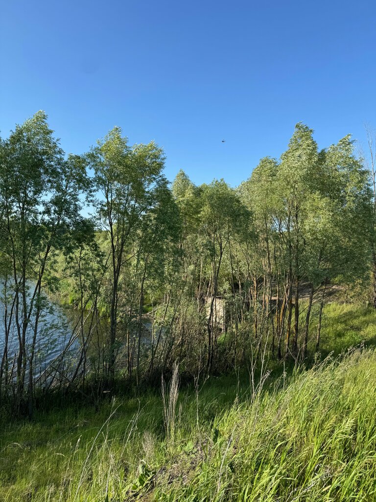 Avcılar ve balıkçılar Платная рыбалка, Çuvaşya, foto