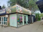 Flower shop (Mahatma Ghandi Street No:169), hediyelik eşya mağazaları  Bişkek'ten