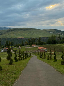 Shakaryan Rancho (H-22), restoran  Lori'nden