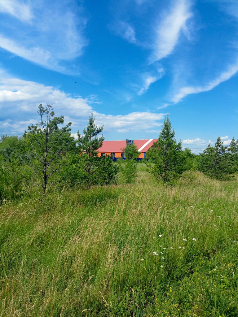 Kereste üretim ve satış şirketleri Лесной квартал, Hakasya, foto