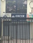Oxcur (Valle del Cauca, Municipio de Santiago de Cali, Carrera 56, 6A-15), dövmeciler  Cali'den