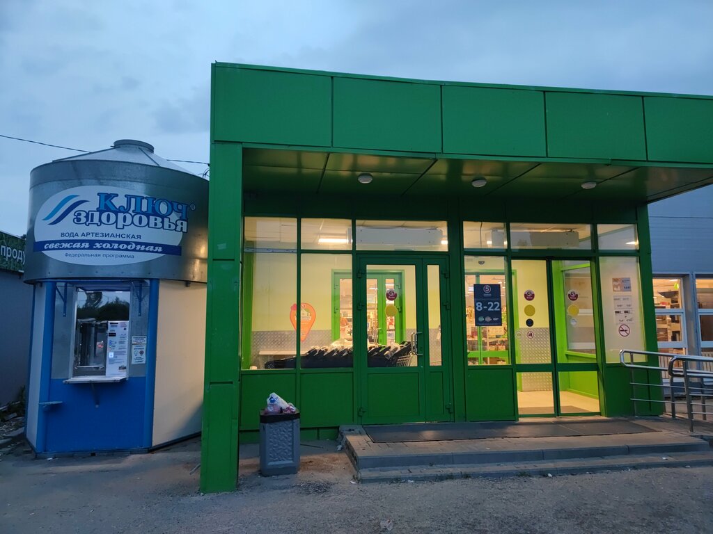 Süpermarket Pyatyorochka, Riazanskaya oblastı, foto