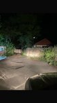 Дельфин (100-letiya Vladivostoka Avenue No:31В), kafe  Vladivostok'tan