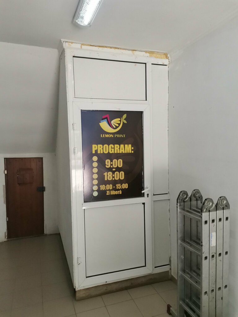 Hediyelik eşya üretimi ve toptan satışı Lemon Print, Kişinev, foto