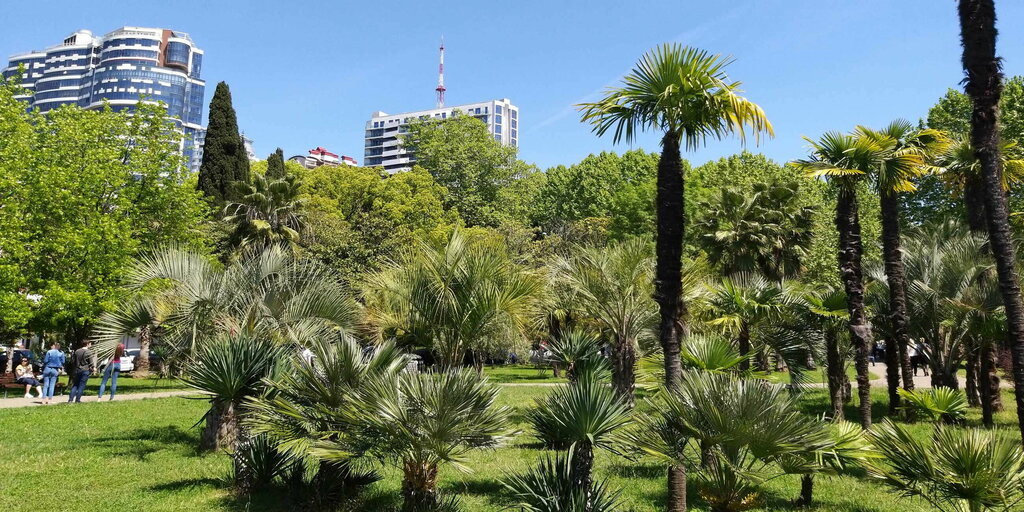 Eğitim merkezleri Metodika Nadezhdy Semenovoj, Soçi, foto