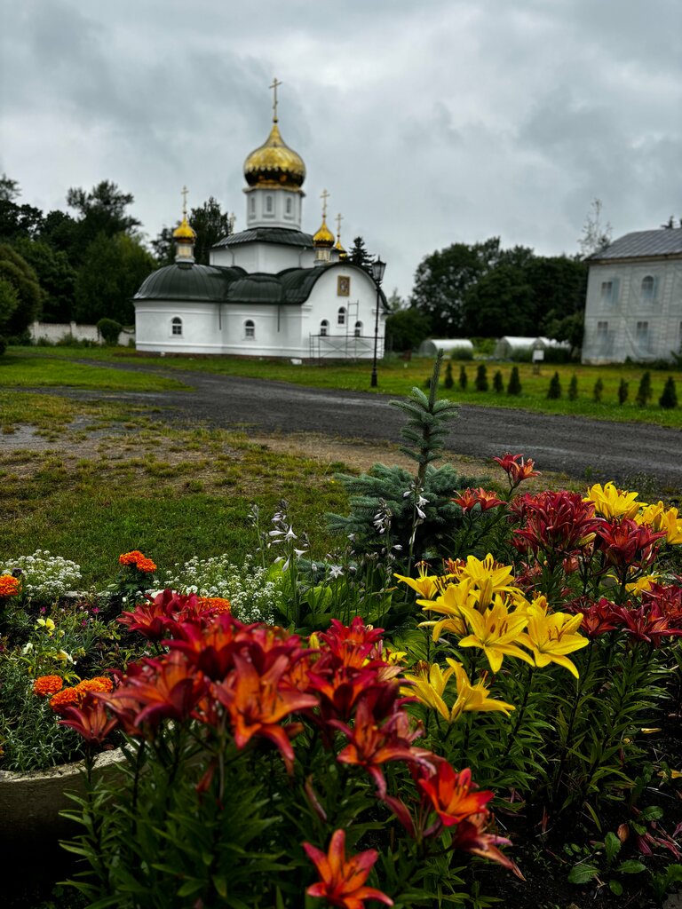 Manastır Женский монастырь святых Жён-мироносиц, Bobruisk, foto