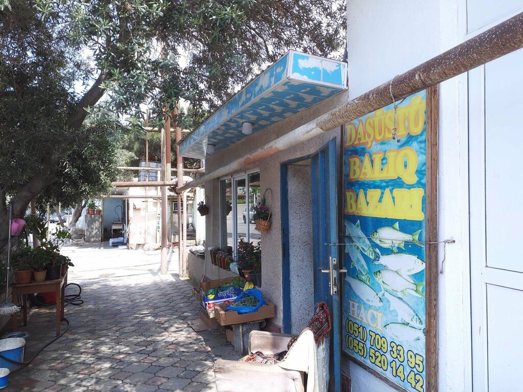 Manavlar Meyve ve terevez, Dünya, foto