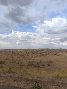 Doğa koruma alanı Umbet Local State Nature Reserve, Jambıl eyaleti, foto