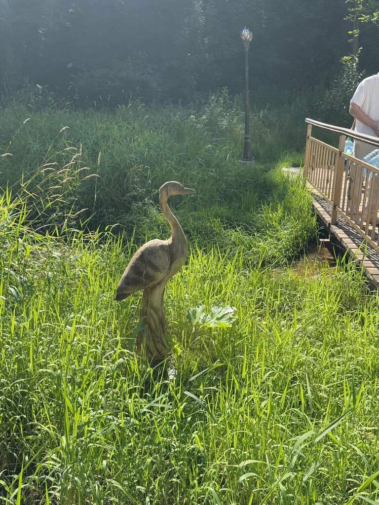 Pınar, çay Spring, stream, Moskova ve Moskovskaya oblastı, foto