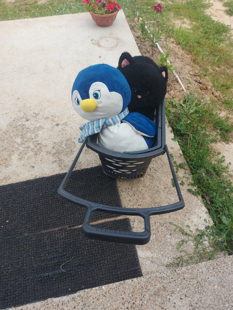 Ehliyet sınav alanı Площадка для вождения, Volzhsk, foto