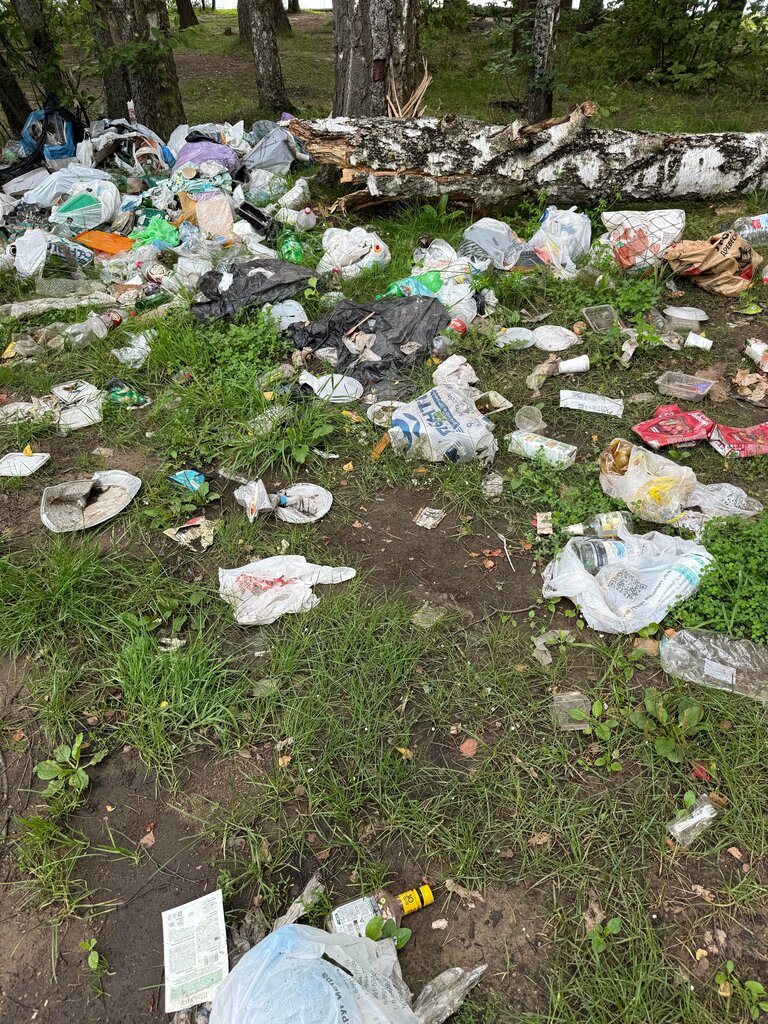 Kamp alanları Кемпинг, Moskova ve Moskovskaya oblastı, foto