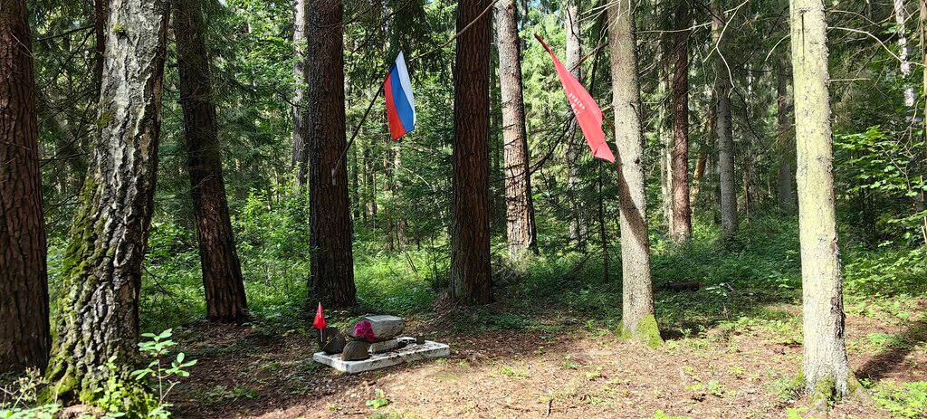 Anıt, heykel Месте гибели Михаила Григорьевича Ефремова, Kalujskaya oblastı, foto