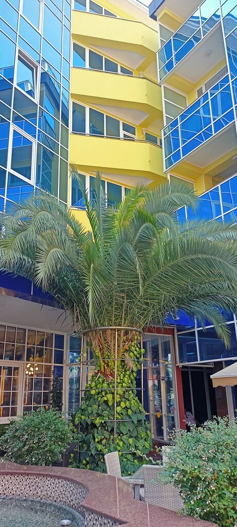 Otel На Свердлова, Soçi, foto