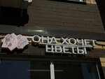 Она Хочет Цветы (Naberezhnaya Street No:19к2), çiçekçiler  Dolgoprudny'den