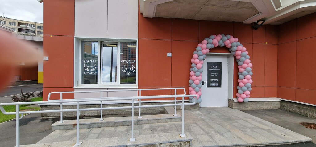 Evcil hayvan kuaförleri Evak's Studio, Saint‑Petersburg, foto