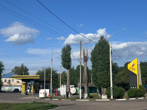 Benzin istasyonu ЛМ-Газ, Voronejskaya oblastı, foto