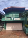 Boral Outlet (Antioquia, Municipio de Medellín, Laureles Estadio, Carrera 81, 34A-127), giyim mağazası  Medellin'den