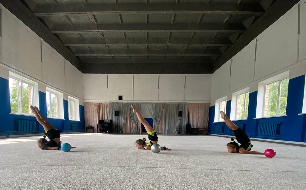 Spor kulüpleri Художественая гимнастика, Moskova, foto