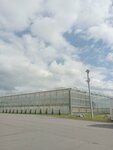 Orbita-Agro (Kaliningrad Region, Gvardeyskiy munitsipalny okrug, posyolok Zvenyevoye), tarım firmaları  Kaliningradskaya oblastından