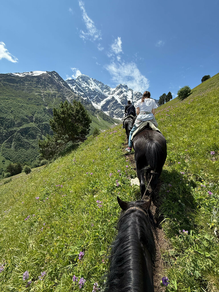 At ve binicilik kulüpleri Конные прогулки, Kabardino‑Balkarya, foto