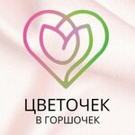 Цветочек в горшочек (Kolokolnikov Lane No:17), çiçekçiler  Moskova'dan
