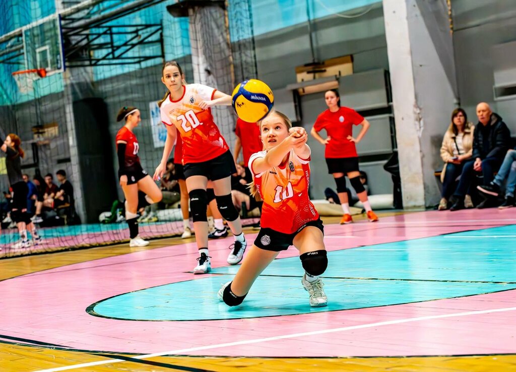Spor kulüpleri Невские медведи, Saint‑Petersburg, foto
