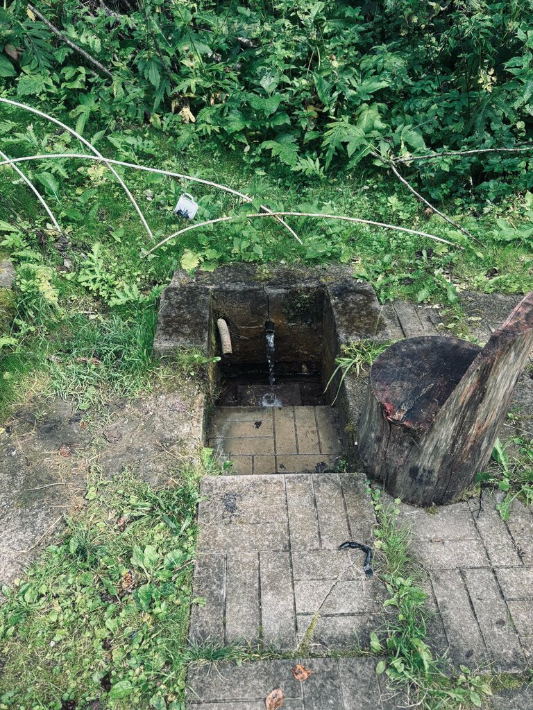 Pınar, çay Spring, stream, Moskova ve Moskovskaya oblastı, foto
