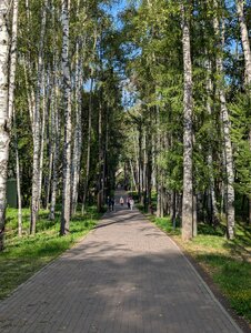 Фатьяновский парк (Vladimir Region, Vyazniki, Fatyanovskiy park), kültür ve eğlence parkları  Viazniki'den