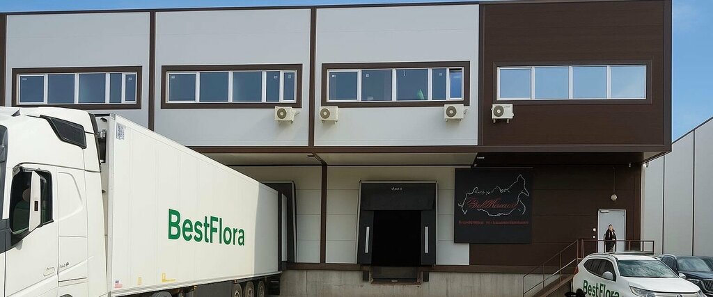 Çiçek teslimatı БэстФлора, Moskova ve Moskovskaya oblastı, foto