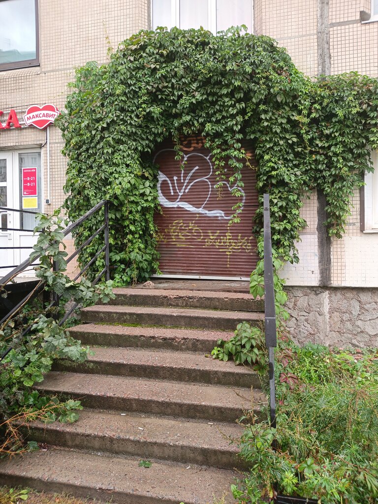 Tütün, sigara mağazaları Табачъ энд Мелочъ, Saint‑Petersburg, foto