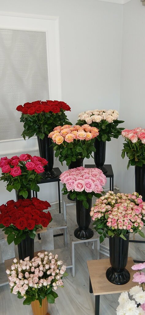 Çiçekçiler Art Flora, Adıge Cumhuriyeti, foto