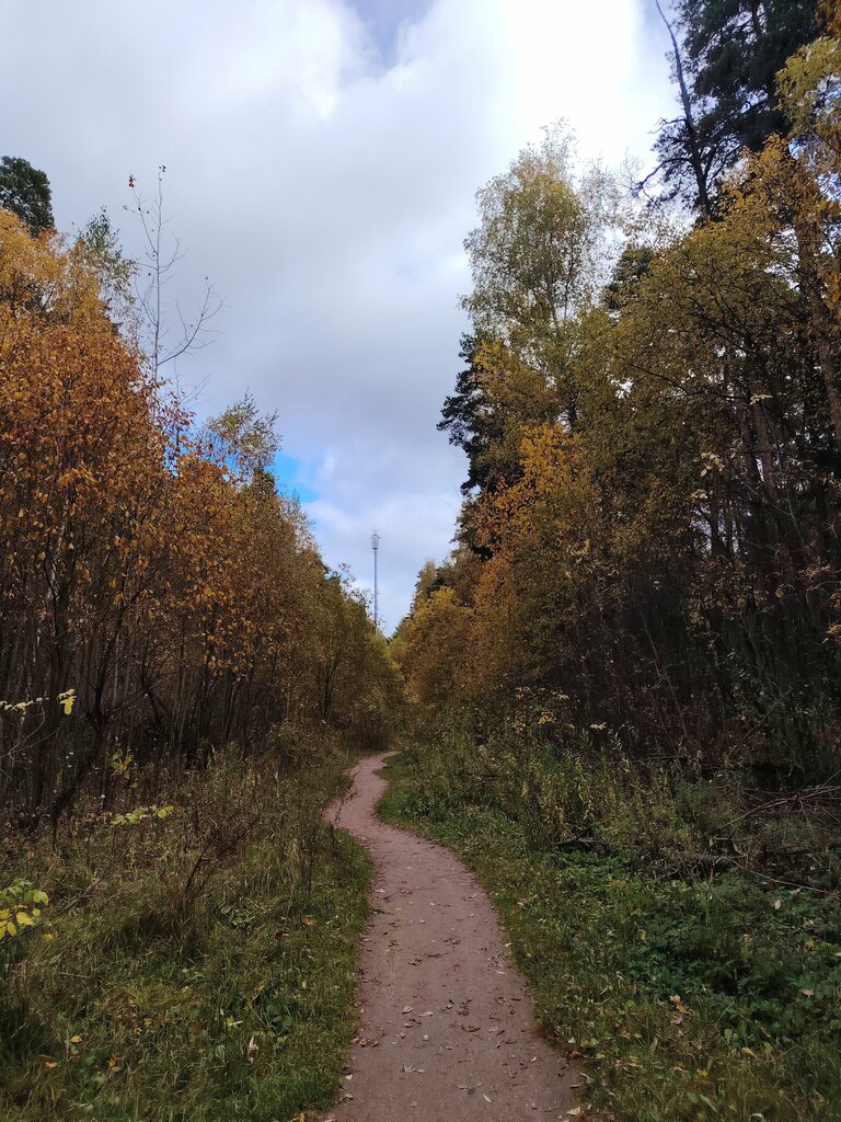 Turistik yerler Вагонные весы, Koroliov, foto