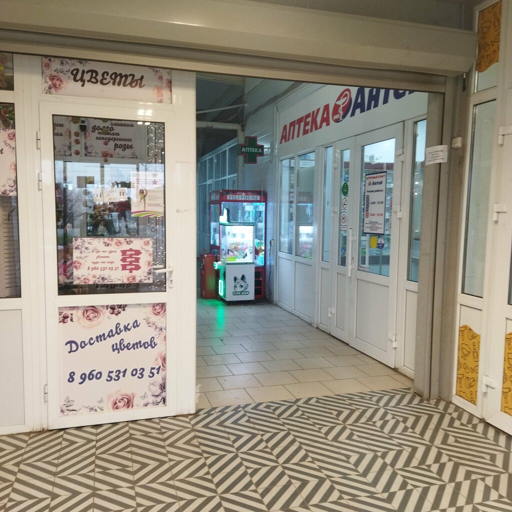 Eczaneler Antej, Yaroslavskaya oblastı, foto